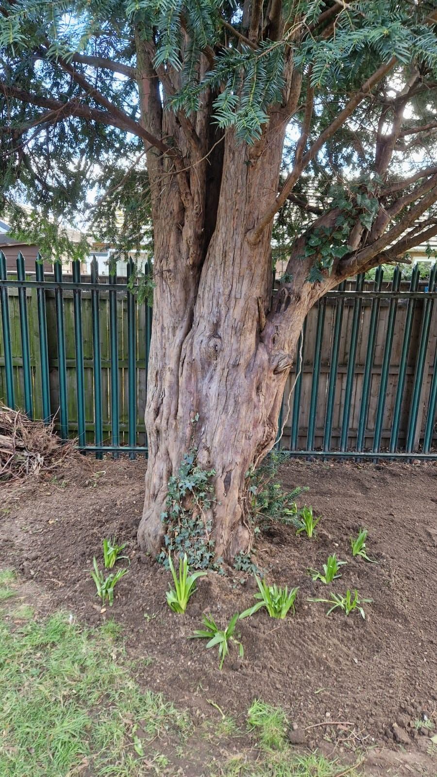 Health Newsroom | Venn Primary Care Network Hull